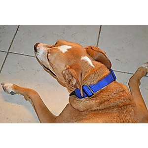 CollarSafe 1.5" Wide Big Dog XXL Designer Replacement Collar Fits Pet Safe 2-Hole Receiver modules 1-3/16" Apart (Fits Invisible Electric Underground Wireless Fence Containment Training bark