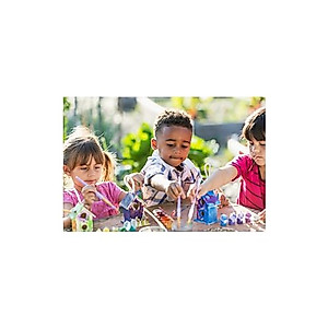 Oojami Design Your Own Wooden Birdhouses 12 Bird House Bulk (Modern)