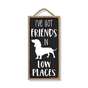 Honey Dew Gifts, I’ve Got Friends In Low Places, 5 inches by 10 inches, Dachshund Lover Gift Ideas, Dachshund Signs Home Office Decor, Wiener Dog Signs, Dotson Gifts, Dachshund Accessories