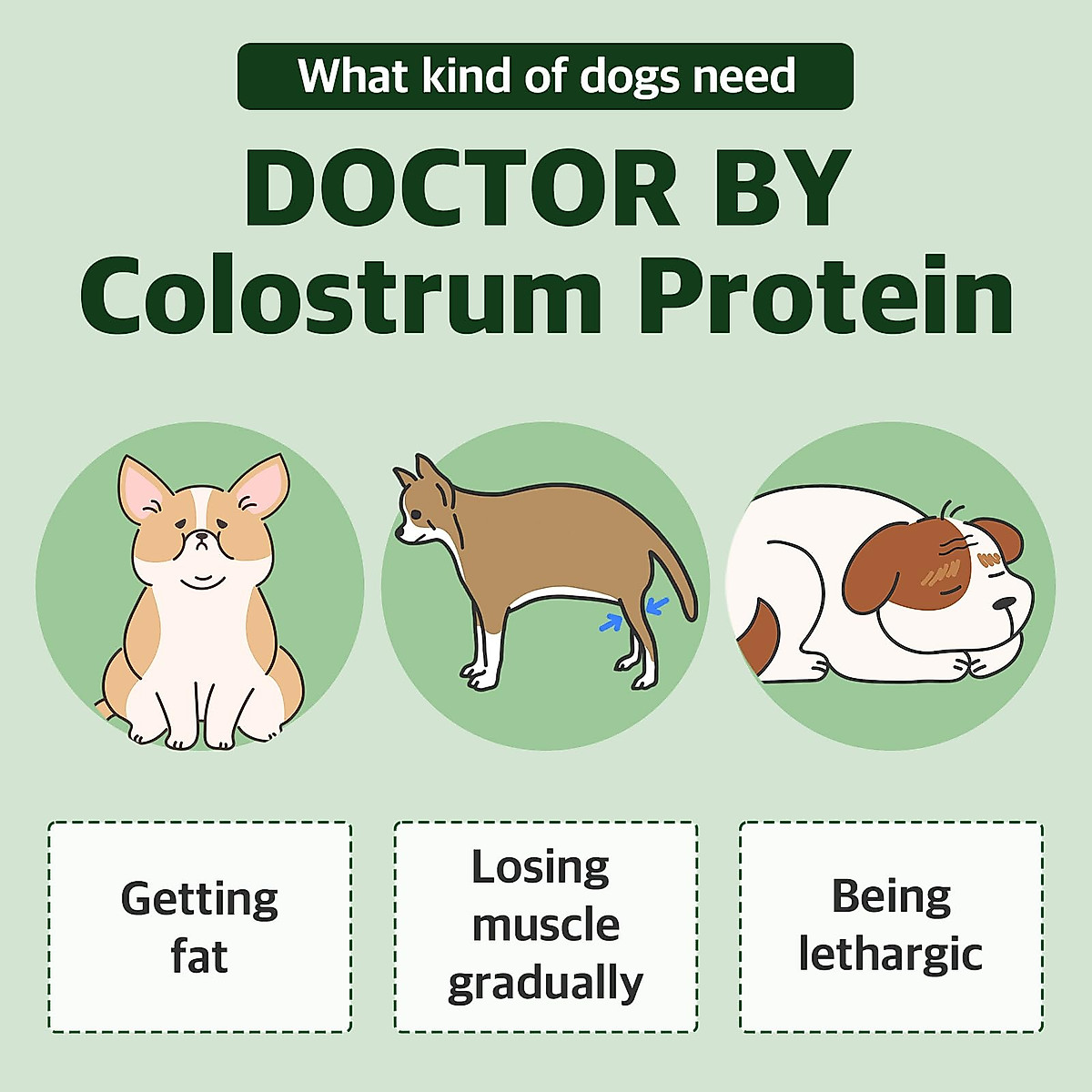 Doctor By Colostrum Protein for Dogs and Puppy – Weight Gain Supplement for Dog - Muscular Strength and Immune System Support with Colostrum, Whey Protein Isolate, Goat Milk – 30 Tubes