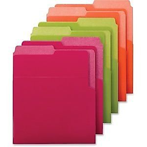 Smead Organized Up Heavyweight Vertical File Folders, Dual Tabs, Letter Size, Bright Tones, 6 per Pack (75406)