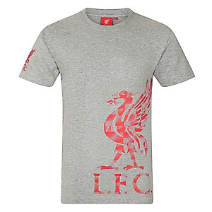 Liverpool FC Official Soccer Gift Kids Graphic T-Shirt Grey 10-11 Years
