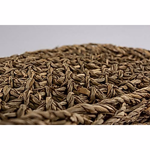 PENN-PLAX Reptology Lizard Lounger – 100% Natural Seagrass Fiber – Great for Bearded Dragons, Anoles, Geckos, and Other Reptiles – Extra Large