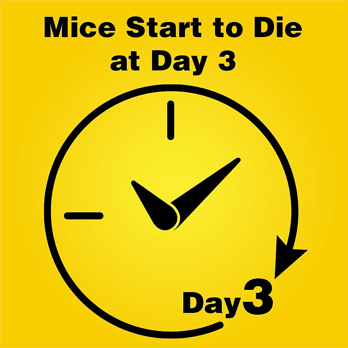 d-Con Disposable Corner Fit Mouse Bait Station, 0.5 Oz (Pack of 3)