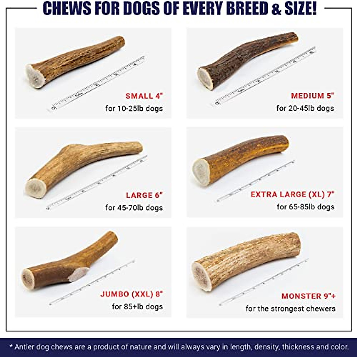 Devil Dog Pet Co Antler Dog Chew - Premium Elk Antlers for Dogs - Long Lasting Dog Bones for Aggressive Chewers - No Mess No Odor - Wild Shed in The USA - Veteran Owned (Medium)