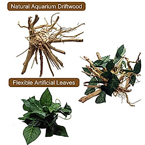 Hamiledyi Reptile Driftwood Large Climbing Branches Amphibian Trunk Log Ornament Aquarium Natural Driftwood Decoration for Lizard Gecok Snake Bearded Dragon Frog Iguana Chameleon