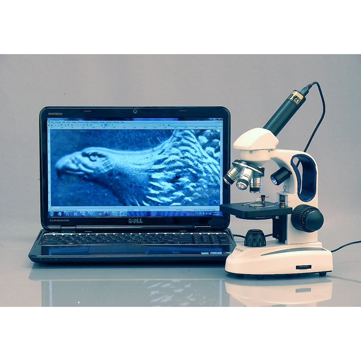AmScope M158C-2L-PB10-WM Cordless Compound Monocular Microscope, WF10x and WF25x Eyepieces, 40x-1000x Magnification, Upper and Lower LED Illumination with Rheostat, Brightfield, Single-Lens Condenser, Coaxial Coarse and Fine Focus, Plain Stage, 110V or Ba