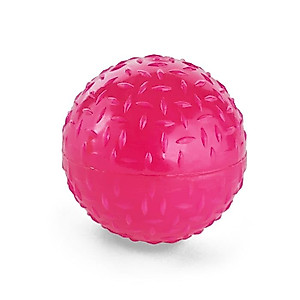 Leaps & Bounds Romp & Run Glow-in-The-Dark Bouncy Ball Dog Toy in, Medium