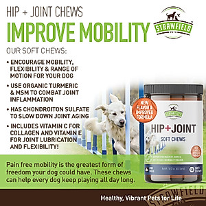Strawfield Pets Hip + Joint Chews for Dogs Advanced Dog Joint Supplement with Glucosamine Tasty Healthy Mobility Treats Bacon Flavor 120 Count