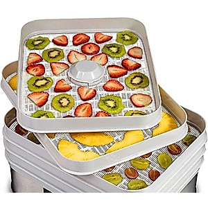 6 Pack Silicone Dehydrator Sheets,Non-stick Food Fruit Dehydrator Mats Reusable Steamer Mesh Mat for Fruit Dryer (6, 14 x 14 inch)