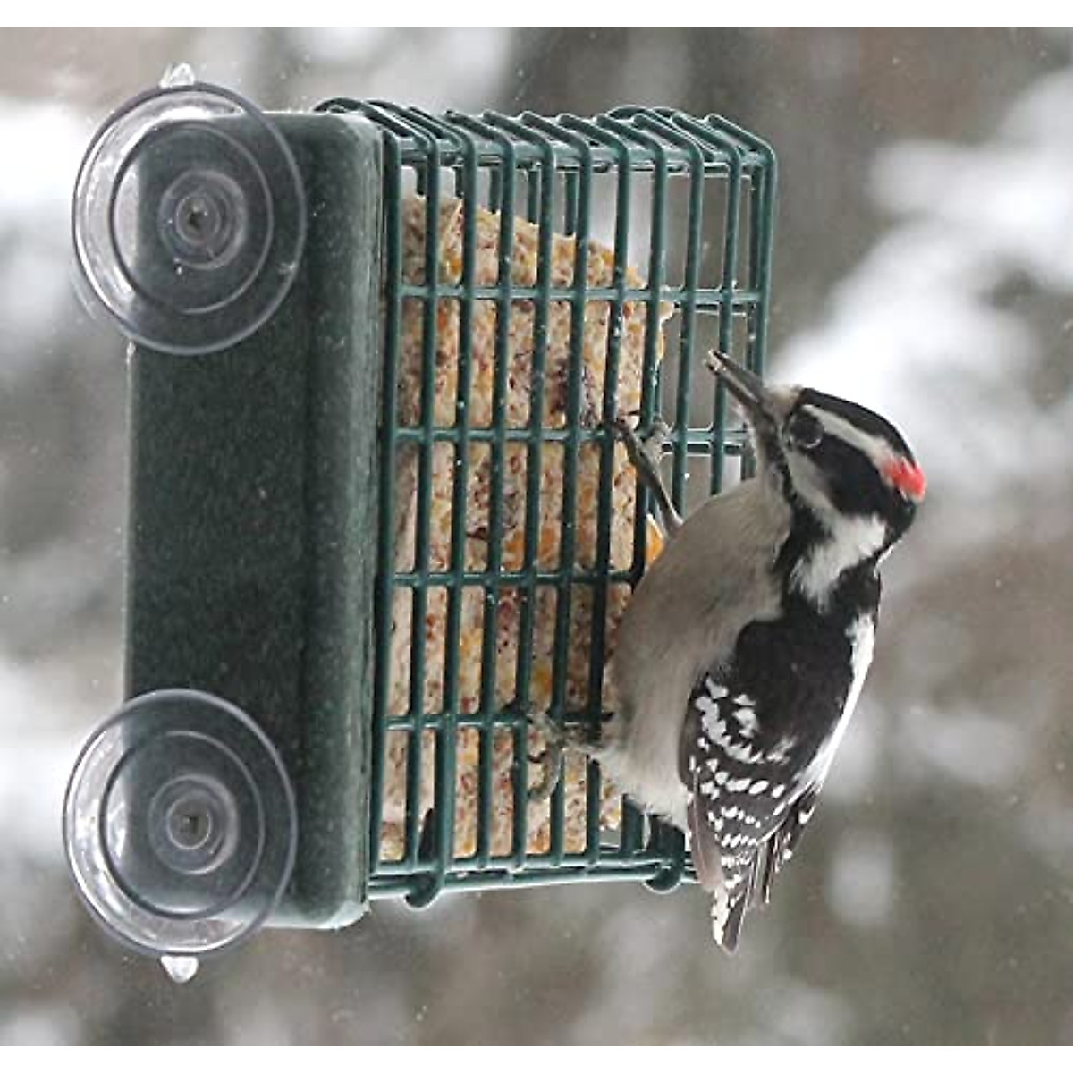 Kettle Moraine Window Mount Single Suet Cake Woodpecker Bird Feeder