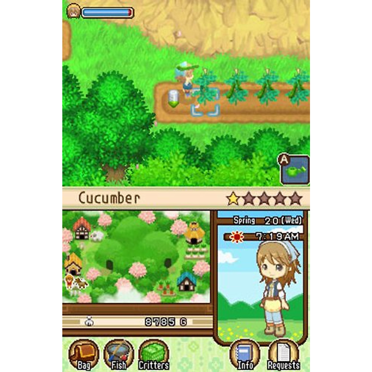 Harvest Moon: Tale of Two Towns - Nintendo DS