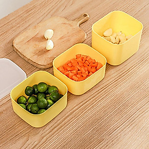 Cabilock Cheese Storage Containers with Lid, Reusable Plastic Slice Holder Airtight Cheese Box, Sealed Food Storage Container, Fruit Vegetable Organizer Container for Fridge