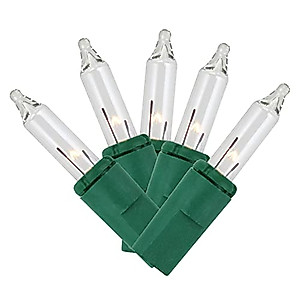 DecoBrite Incandescent 69ft (21m) 300 ct Christmas String Lights Clear with Green Wire, Indoor Outdoor Christmas Lights Decorations for Tree, Patio, Garden（300 Clear Bulbs with Green Wire