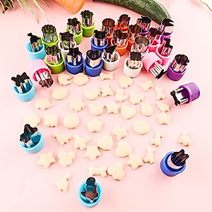 Small Cookie Cutter sets Mini Fruit Cutters for Kids Tiny Food Shape Cutouts 28 Pack Match with 10 Pack Cute Animal Picks and Forks Baking and Food Supplement Accessories