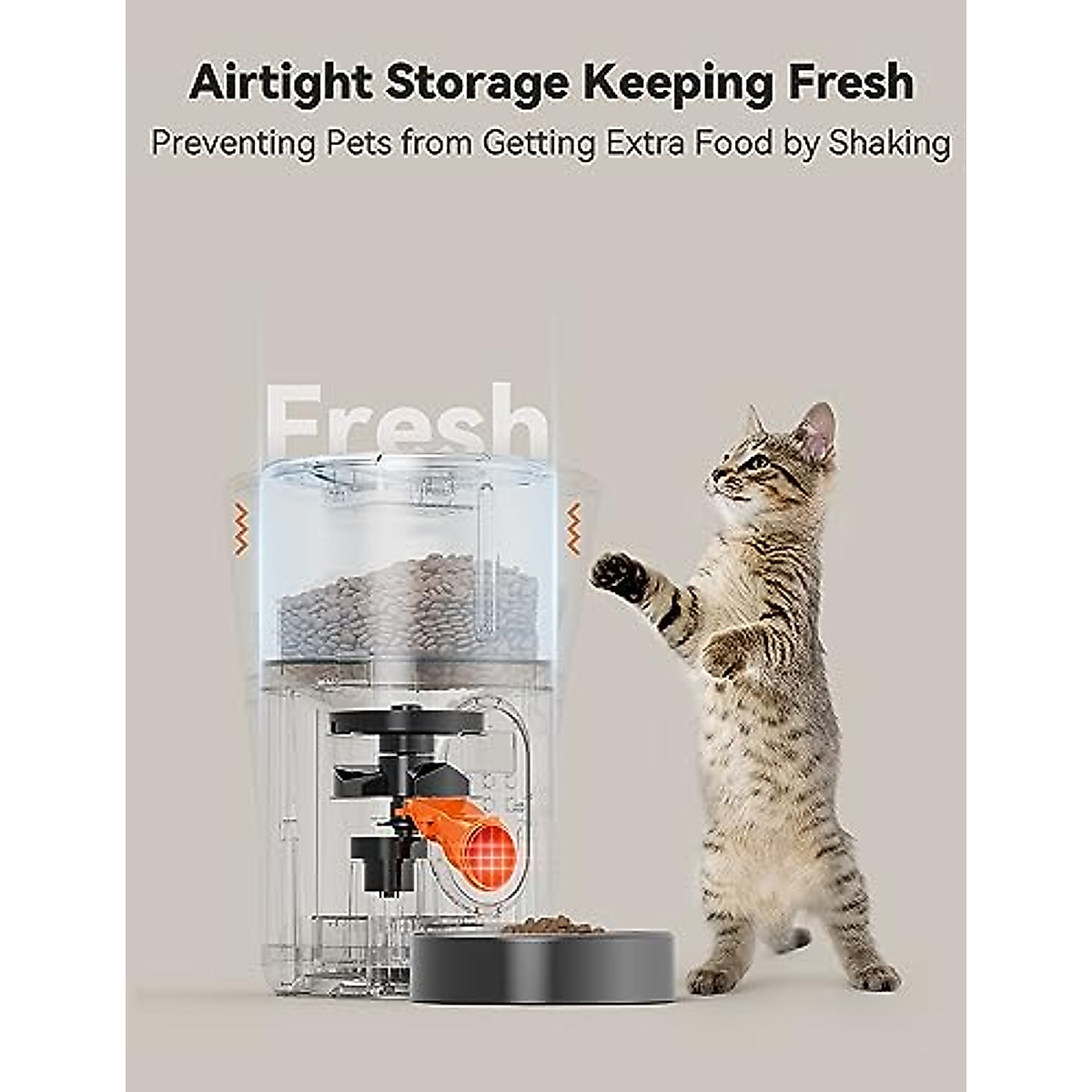 WOPET FT50 Automatic Cat Food Dispenser - Automatic Cat Feeders with Programable 1-6 Meals, Automatic Dog Feeder with Stainless Bowl, Timed Cat Feeder with 10S Voice Recorder for Cat and Dog, Black