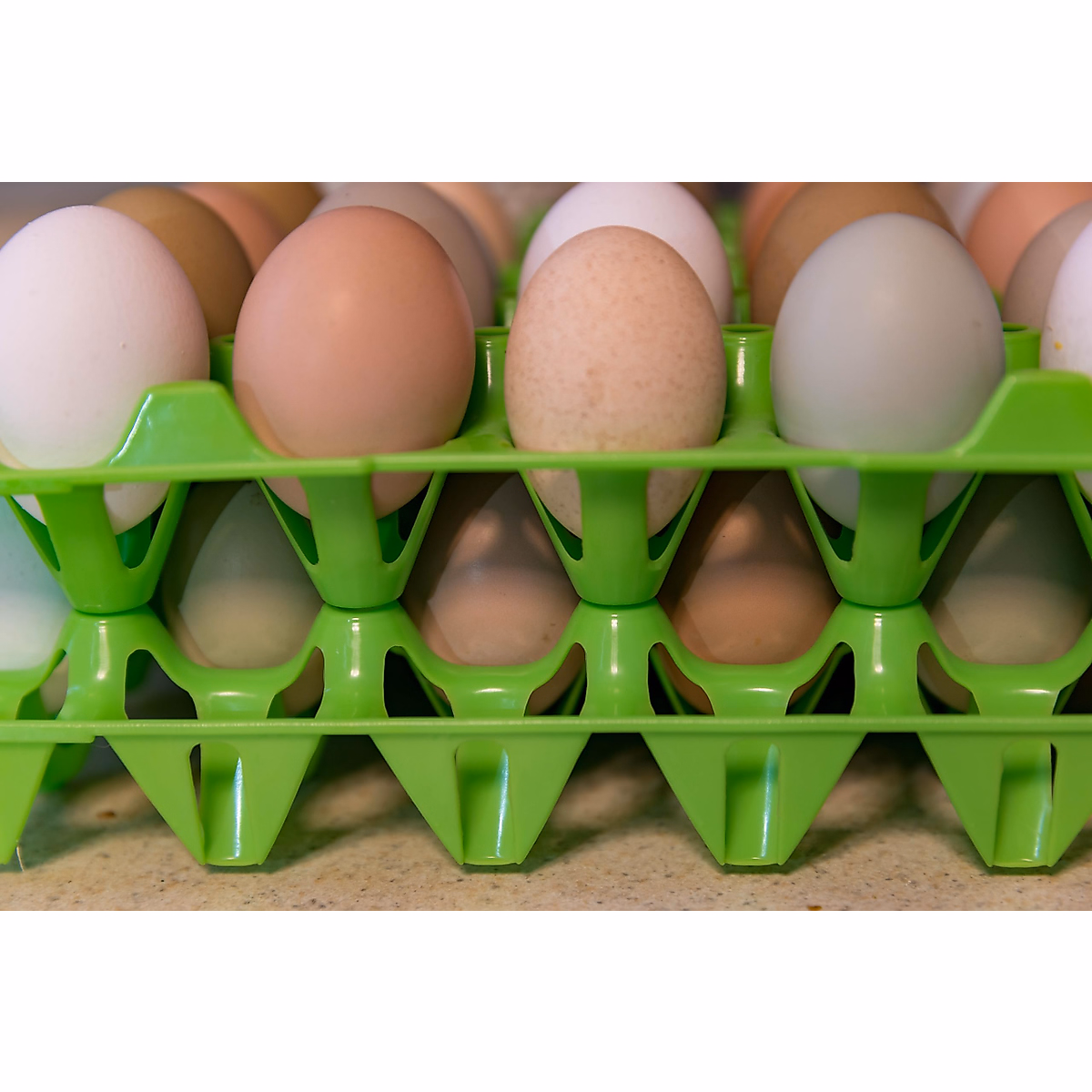 My Favorite Chicken 10 Pack Plastic Egg Flat Carton Tray Holds 30 Eggs Reusable Washable