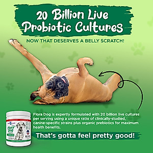 Vital Planet - Flora Dog Probiotic Powder Supplement with 20 Billion Cultures and 10 Strains, High Potency Immune and Digestive Support Probiotics for Dogs, 7.84 oz., 222 Grams, 60 Servings