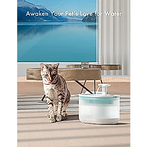 PETLIBRO 4 Packs Replacement Filters for Capsule Cat Water Fountain PLWF002, 2 Months Set of Replacement Filters for Ultra Quiet Pet Water Fountain