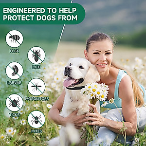 4 Pack Flea Collar for Dogs, Dog Flea and Tick Treatment, 8 Months Protection Flea and Tick Collar for Dogs, Waterproof Dog Flea Collar, Adjustable Collar Flea and Tick Prevention for Dogs,Black