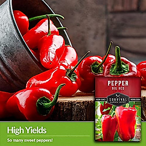 Survival Garden Seeds - Big Red Pepper Seed for Planting - Packet with Instructions to Plant and Grow Delicious Sweet Red Bell Peppers in Your Home Vegetable Garden - Non-GMO Heirloom Variety