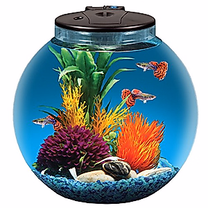 Koller Products AquaView 3-Gallon Fish Tank with Power Filter and LED Lighting