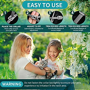 4 Pack Flea Collar for Cats, Cat Flea and Tick Collar 8 Months Cat Flea Collar Treatment Prevention, Adjustable Waterproof Cat Flea Collar Kitten Natural Tick and Flea Collar for Cat 4 Color