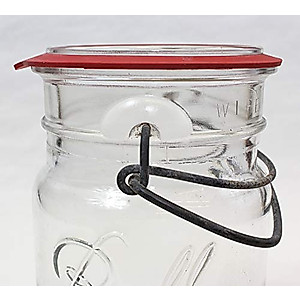 Viceroy Rubber & Plastics Rubber Rings For Wide Mouth Canning Jar, 12-Pk.