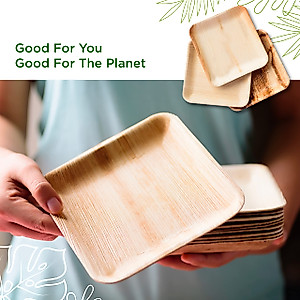 TRULY ECO 8 Inch 40 Square Palm Leaf Plates – Compostable, Biodegradable, Eco-Friendly – Like Bamboo Disposable Plates for Party, Wedding, Picnic – Sturdy, Heat Proof & Leak Proof