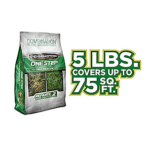 One Step Complete Tall Fescue 5lb. Grass Seed + Mulch + Fertilizer for Patch Repair