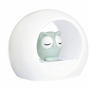 Zazu Kids Voice Activated Nightlight Lamp - Sleep Trainer, Grey Owl Lou