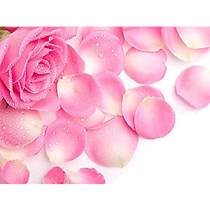 Rose Petal Powder | 8 oz | Make Tea, Smoothies or Lattes | Best Ingredient for Face Mask Too | Soothing Fragrance | Excellent Natural Skin Toner | by Yogi’s Gift®