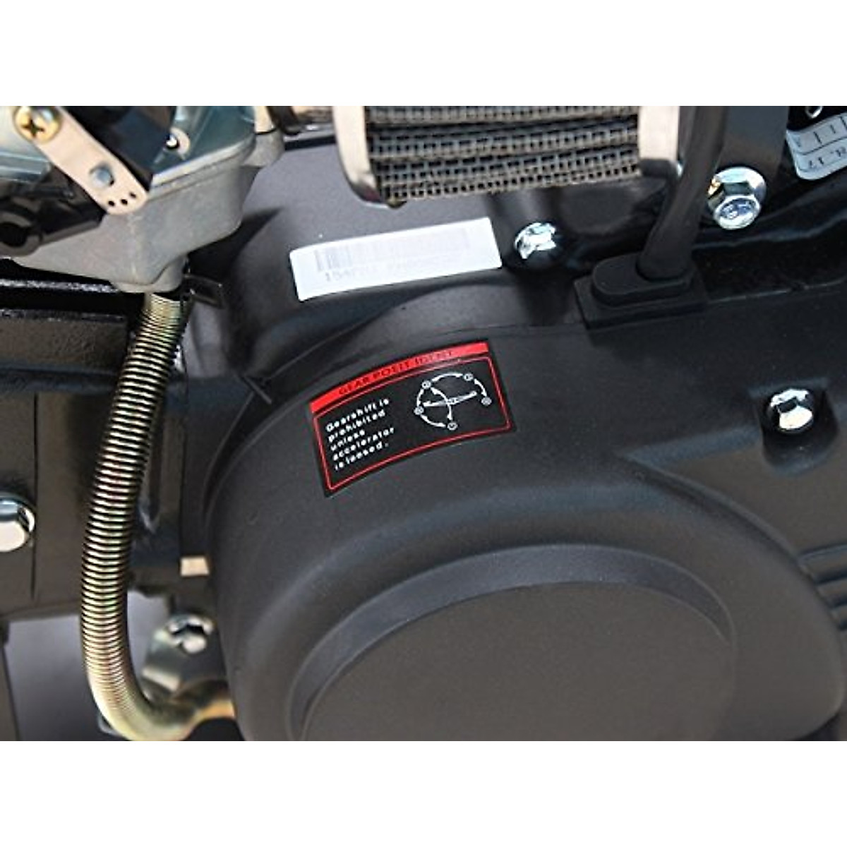 HHH TAOTAO DB 17 Adult Youth Kids 125cc Dirtbike Gas Dirt Bike Pit Bike Manual 4 Speed (Green)