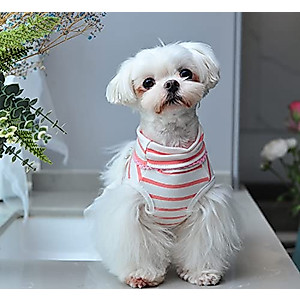 MSNFOASM Pet Dog Pink Stripe Dog Dress,Dog Tutu Lace Skirt Wedding Dress for Small Girl Dogs Cats（Pink Stripe M）