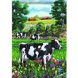 Carson Home Accents Garden Flag, Dairy Farm