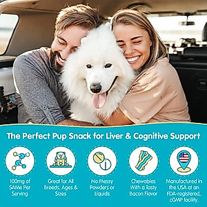 Wanderfound Pets Same 100 Liver Support for Dogs - Same S-Adenosyl-L-Methionine Hepatic Supplement for Liver & Brain Support - Bacon Flavored Sam E, Manufactured in The USA - 30 Chewable Tablets