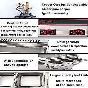Commercial Gas Fryer, 22L Large Capacity Dual Fryer With Removable Baskets and Temperature Control, Stainless Steel LPG Countertop Gas Fryer, Chip Fryer for Catering Takeaway Restaurant Café