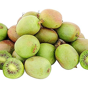Hardy Kiwi Seeds Actinidia Arguta Seeds Perennial GMO Free Fragrant Showy Fruit & Berries Climber Trellises Fences Pergolas Outdoor 10Pcs Fruit Seeds by YEGAOL Garden