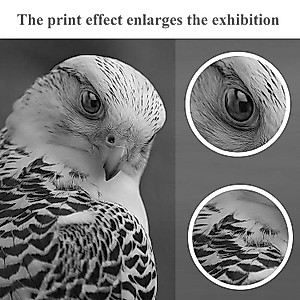 1 Pack 106R02777 Black Toner Cartridge Replacement for Xerox Phaser 3052 3260 3260DI 3260DNI WorkCentre 3215 3215NI 3225 3225DNI Printer,Sold by TopInk