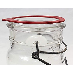 Viceroy Rubber & Plastics Rubber Rings For Wide Mouth Canning Jar, 12-Pk.
