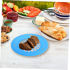 SOLUSTRE 20 Pcs Grill Plate Reusable Barbecue Trays Paper Plate Holders Small Paper Plates Plate Holders for Dinner Plates Food Plastic Dishes Disposable Picnic Supplies Dish Rack re-usable