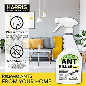 Harris Ant Killer Spray, 20 oz for Indoor and Outdoor Use