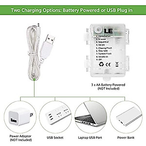 Lighting EVER Christmas Curtain Lights Battery Operated & USB Plug in, Remote, 10 x 10 ft Hanging Fairy Lights for Bedroom Wall, 300 LED Indoor Outdoor Backdrop Lights for Wedding Party, Patio Gazebo