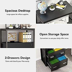 Tribesigns 2 Drawer Lateral File Cabinet with Lock, Letter/Legal / A4 Size, Large Modern Filing Cabinet Printer Stand with Metal Wire Open Storage Shelves for Home Office (Black)