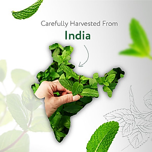 HBNO® California Bottled Peppermint Essential Oil for Diffuser 4 fl oz (120ml) - Natural Peppermint Oil for Hair - Perfect for Aromatherapy & DIY, Essential Oil Peppermint