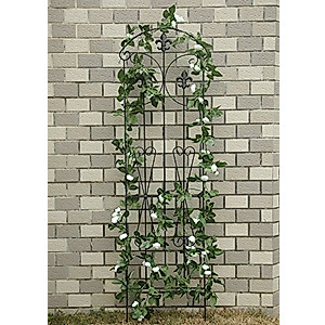 1. GO Metal Garden Trellis Panel Arch for Climbing Plants, 16" Wide x 60" High, OG-0033KD