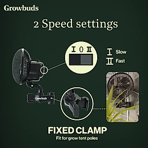 Growbuds 6 Inch Oscillating Clip-On Fan For Grow Tents, Quiet Variable 2-Speed Settings, Humidity-Resistant Motor, Fully Adjustable Sturdy Clip