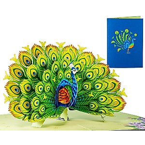 WOWPAPERART Peacock - 3D Pop Up Greeting Card For All Occasions - Love, Birthday, Christmas - Message Note for Personalized - Thick Envelope - 5x7 In
