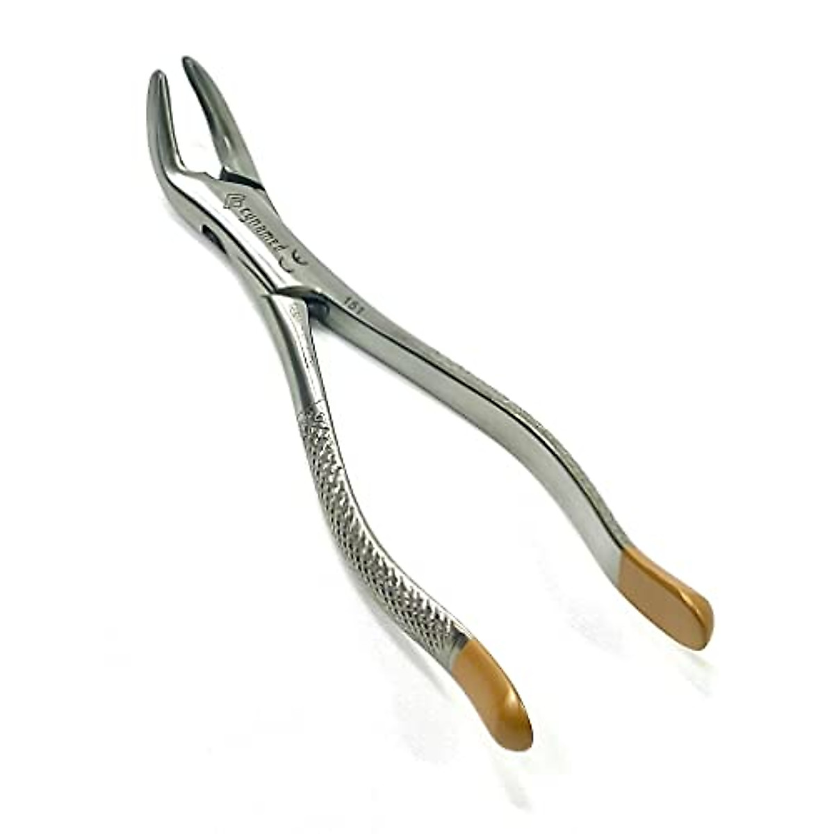 German Dental Extracting Forceps #151-Lower Bicuspid, Lower Incisor, Lower Root, Universal Extraction Forceps Dental Instruments -Cynamed