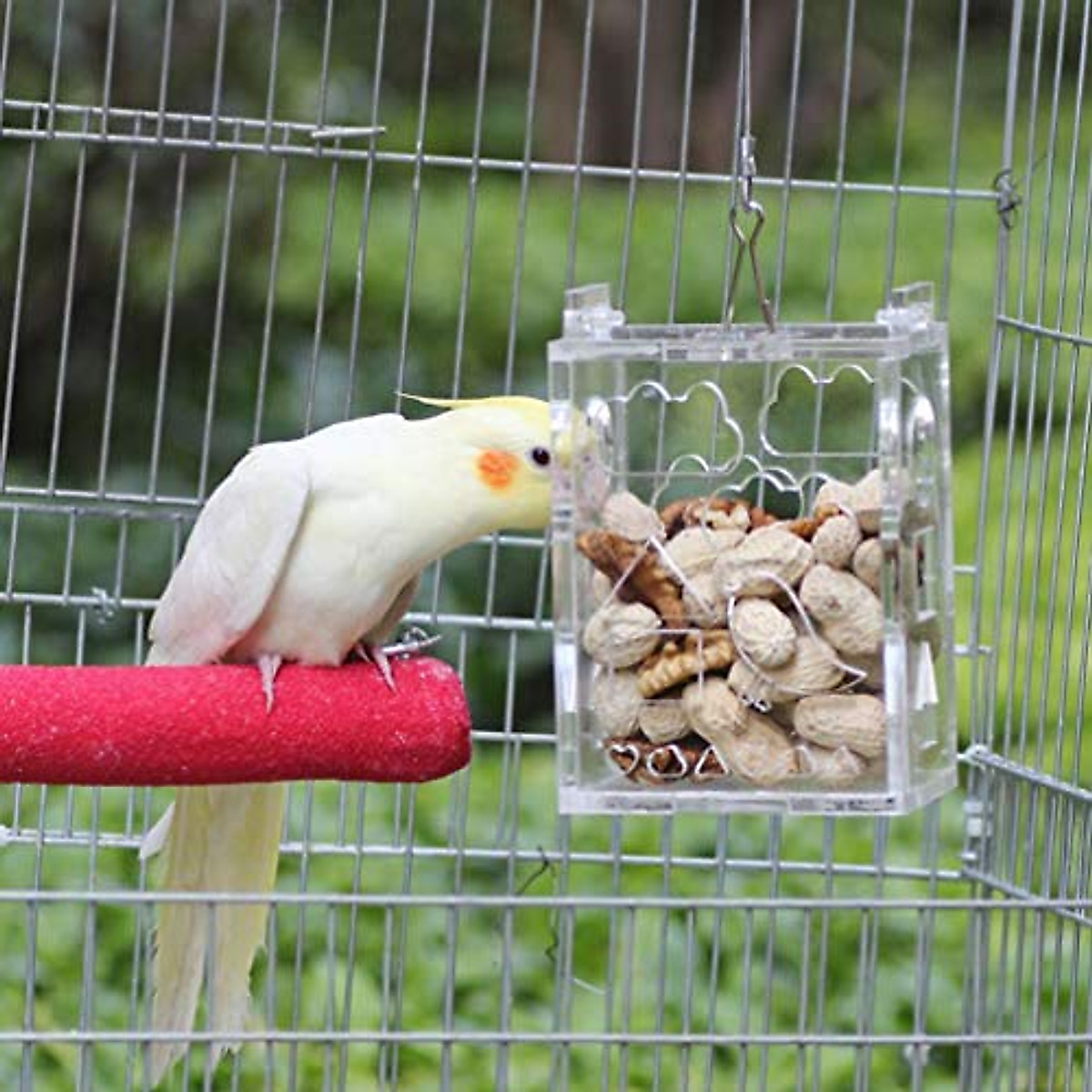 balacoo Bird Parrot Acrylic Foraging Toy Creative Hanging Parakeet Treat Feeder Toy Transparent Cockatiel Food Toys for Parakeet Cockatiel Conure
